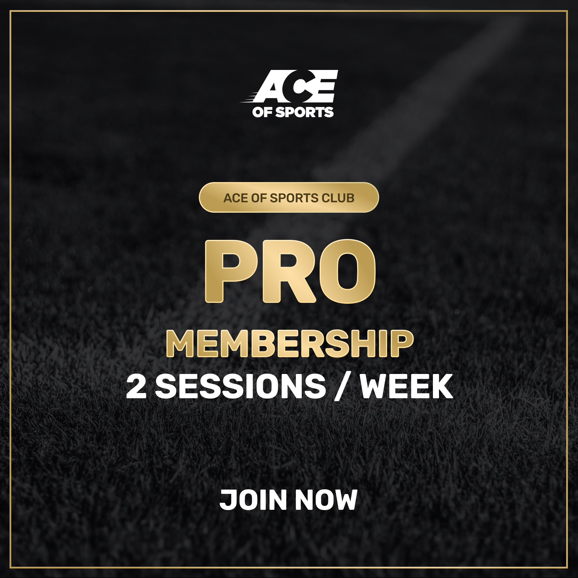 Ace of Sports Membership: Pro – Ace of Sports